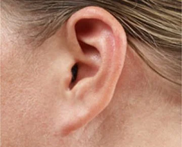 Hearing Aid Styles | Hearing Healthcare Associates